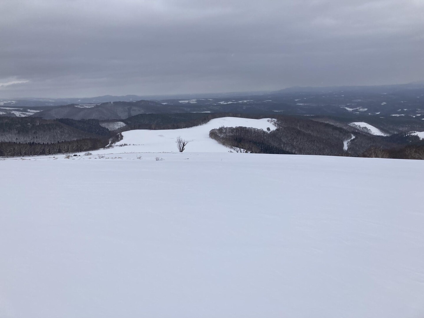 稲庭岳 / chanmikiさんの稲庭岳の活動データ | YAMAP / ヤマップ