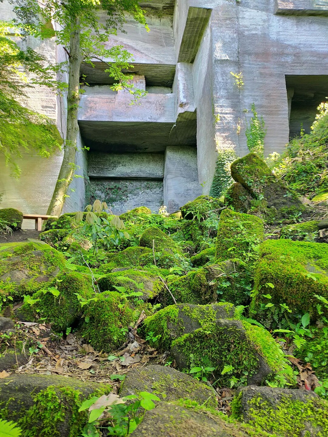 鋸山 / sumiさんの鋸山の活動データ | YAMAP / ヤマップ