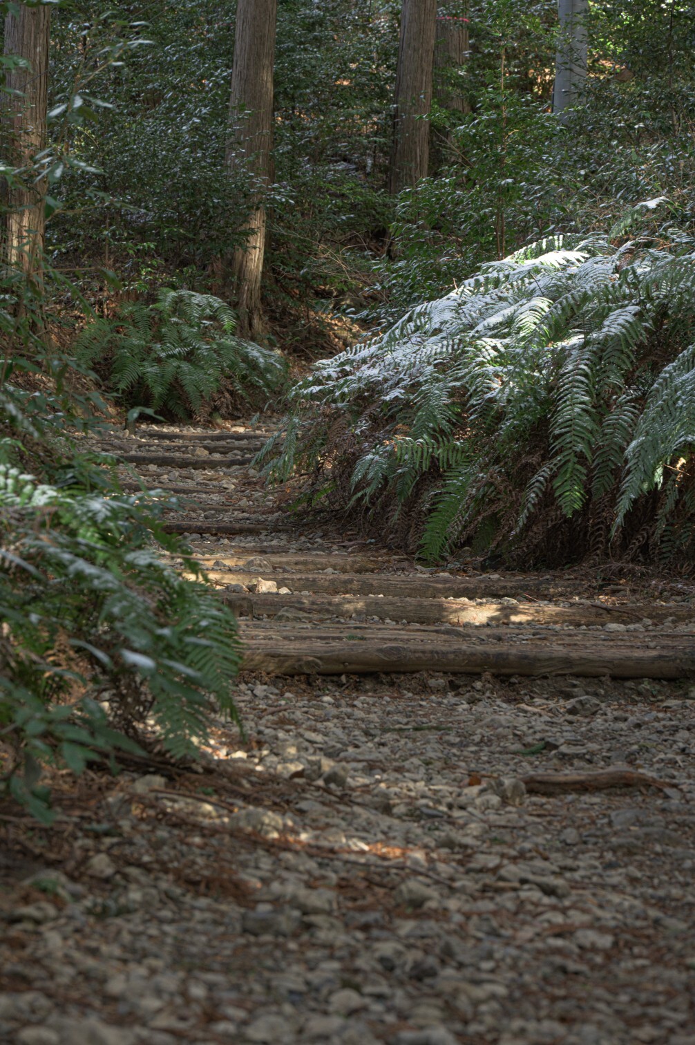 大晦日に登った浜松市天竜区にある秋葉山 ... / vlog_tottiyさんのモーメント | YAMAP / ヤマップ