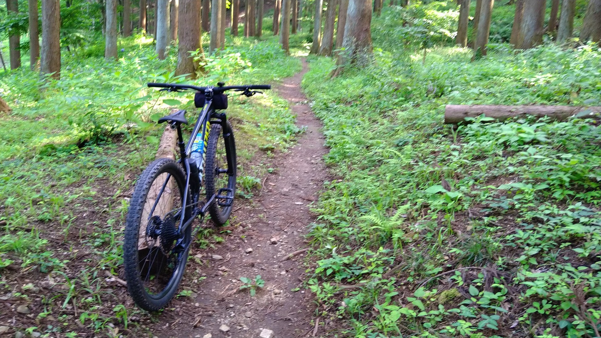 MTBポタ / たつくらさんのサイクリングの活動データ | YAMAP / ヤマップ