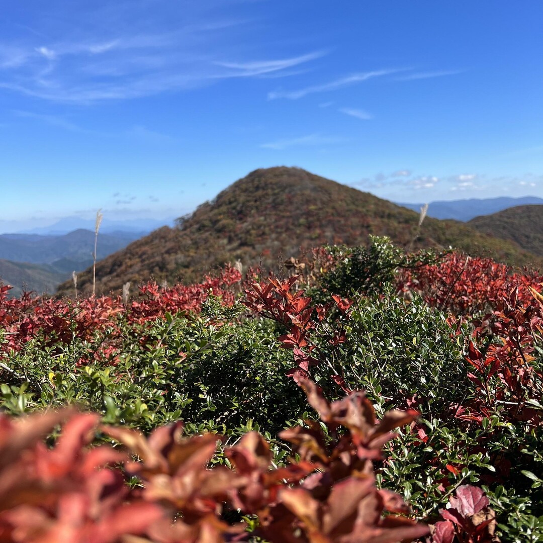 池の段〜竜王山 / jyamiさんのウォーキングの活動データ | YAMAP / ヤマップ