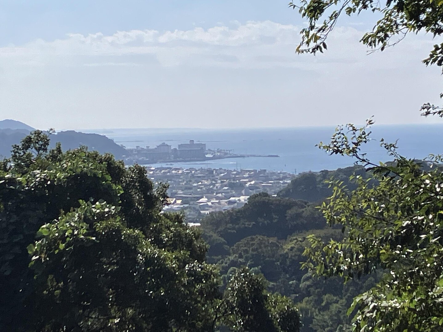鎌倉散歩🚶‍♀️桔梗山・峯山 / momoさんの鎌倉アルプス（大平山・天台山）の活動データ | YAMAP / ヤマップ
