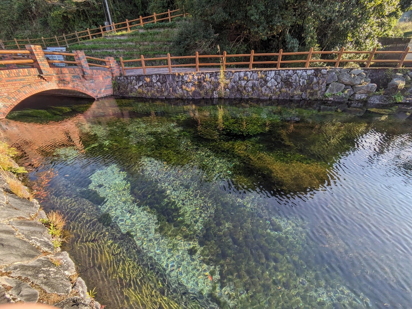 丸池湧水へ。 栗野岳からの帰り道、まだ見... / 松助さんのモーメント | YAMAP / ヤマップ