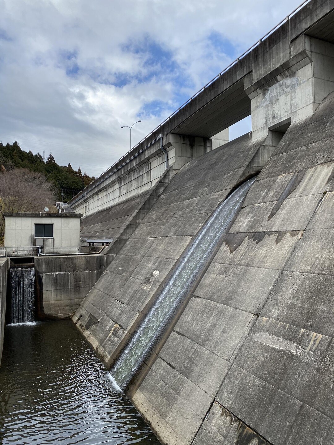 雨山山 / 130tさんの本宮山・大日山・風頭山の活動データ | YAMAP / ヤマップ