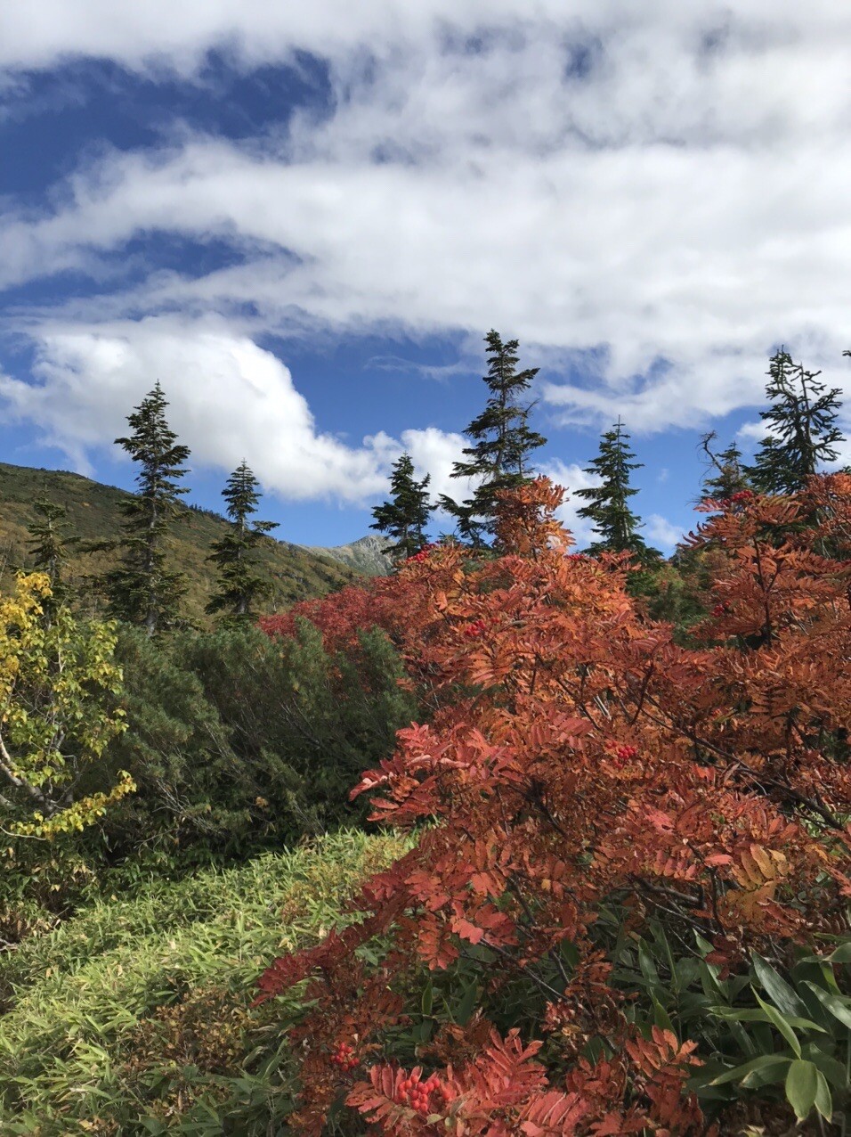 黒部五郎岳 縦走【その1】 2021.9.20-23 / keyさんの水晶岳・薬師岳・黒部五郎岳の活動データ | YAMAP / ヤマップ