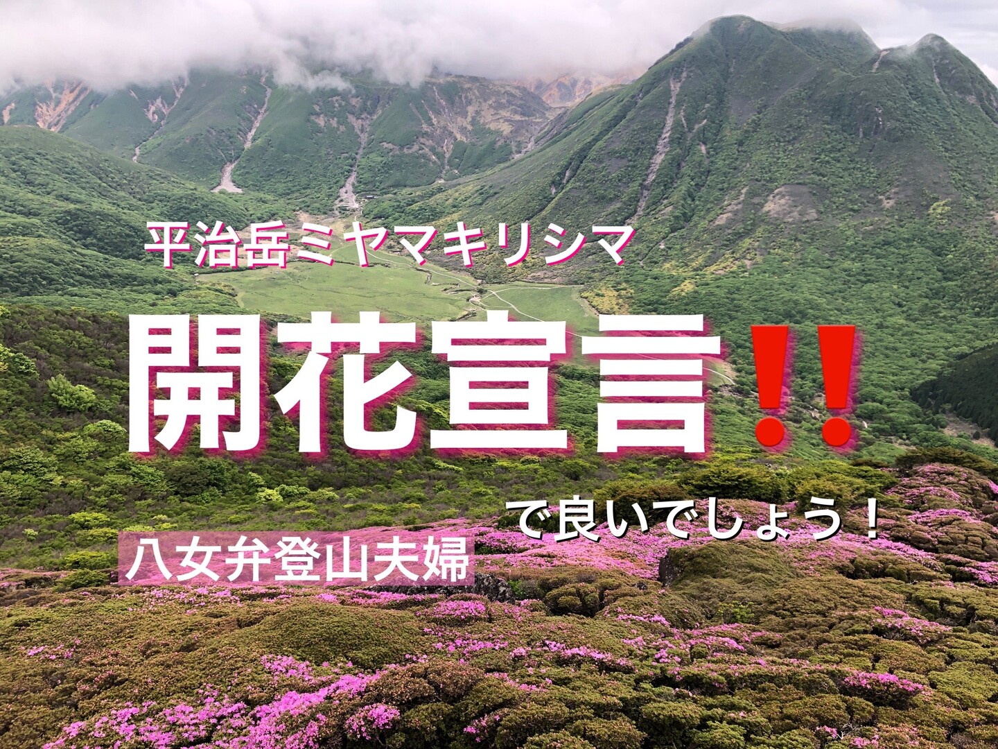 こんな感じでした ️ https://y... / 八女登山夫婦さんのモーメント | YAMAP / ヤマップ