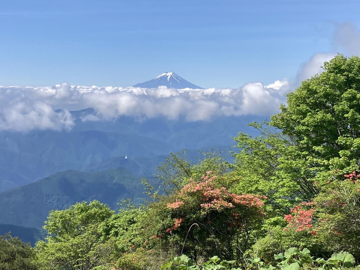 本日かねてから憧れていた縦走路を歩いて来... / sadaさんのモーメント | YAMAP / ヤマップ