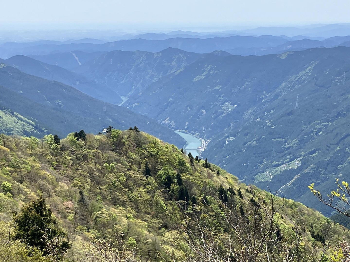 竜頭山 / FJ. T o s h iさんの竜頭山・入地山の活動データ | YAMAP / ヤマップ