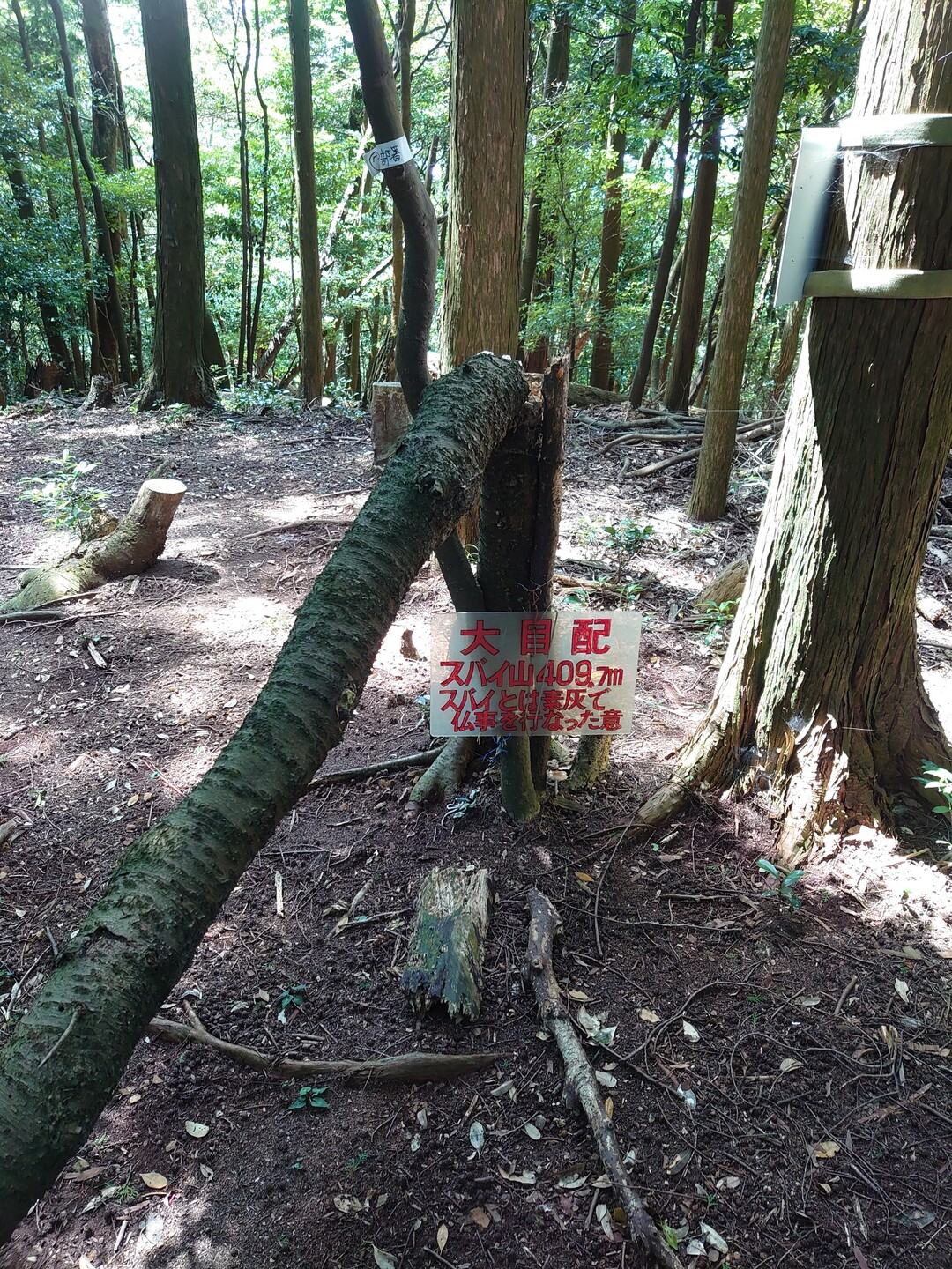 大目配 縦走のつもりが、大目配ピストン。 / hayatoさんの犬鳴山・西山（鮎坂山）の活動データ | YAMAP / ヤマップ