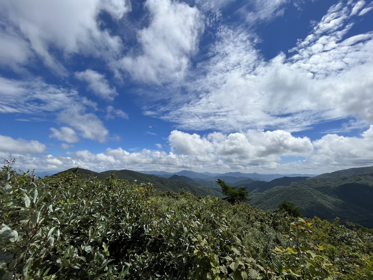 伊良谷山・毛無山 / issaさんの比婆山・立烏帽子山・吾妻山の活動データ | YAMAP / ヤマップ