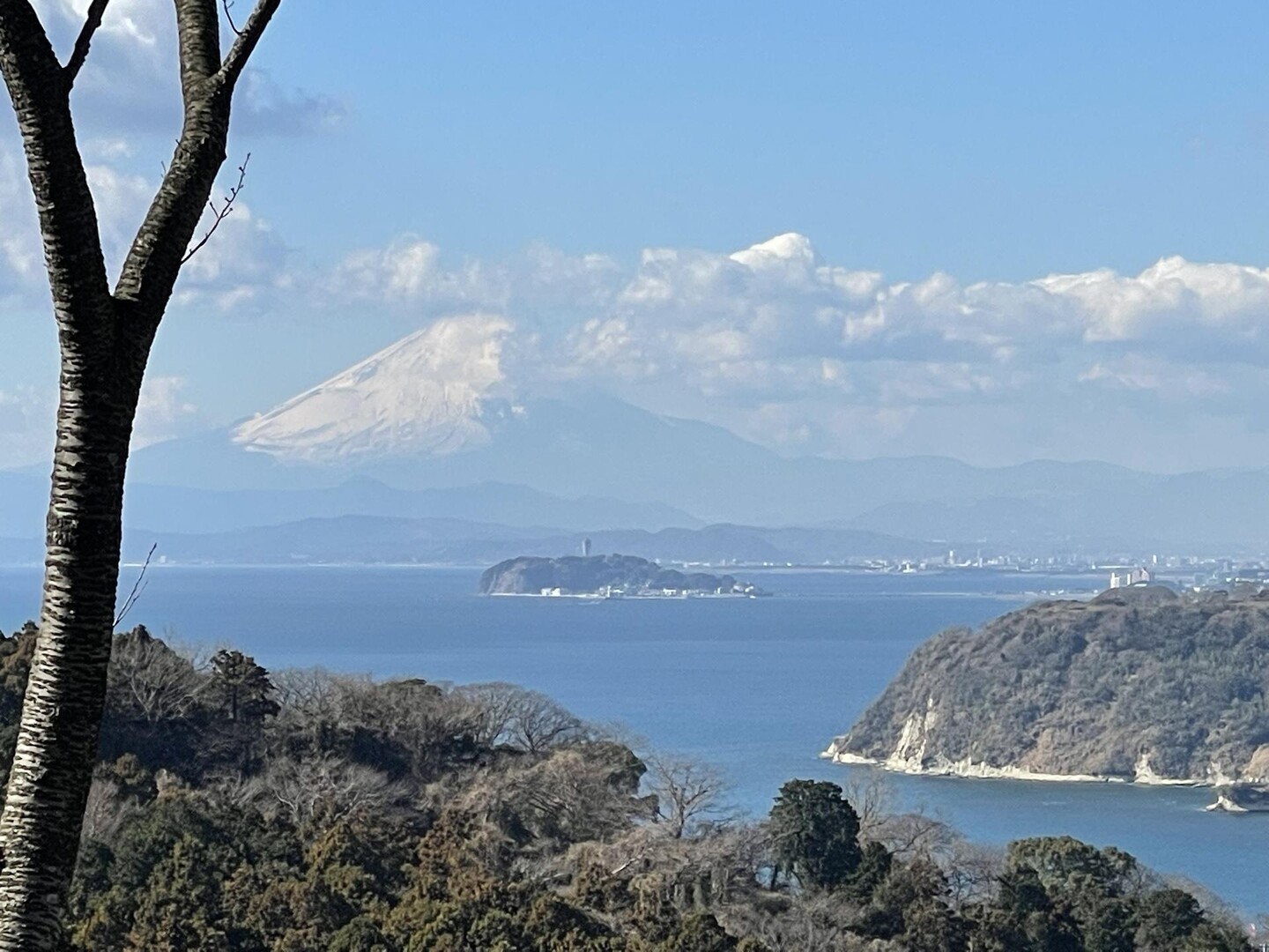 二子山（上の山）・二子山（下の山）・阿部倉山 / Chieさんの三浦アルプス・二子山・仙元山の活動データ | YAMAP / ヤマップ