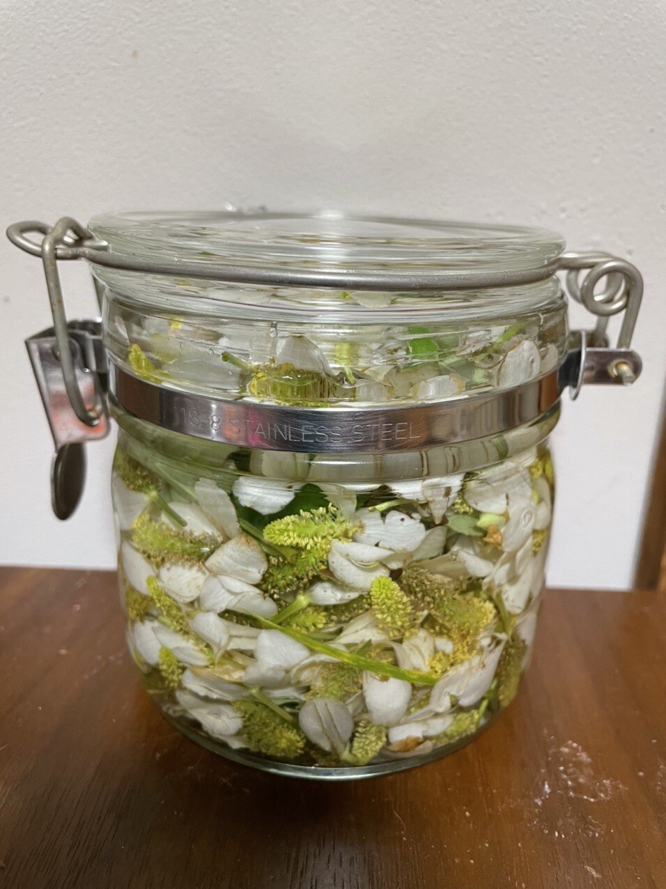 山の裾野に沢山咲いている「ドクダミ」の花... / Marry🐾さんのモーメント | YAMAP / ヤマップ