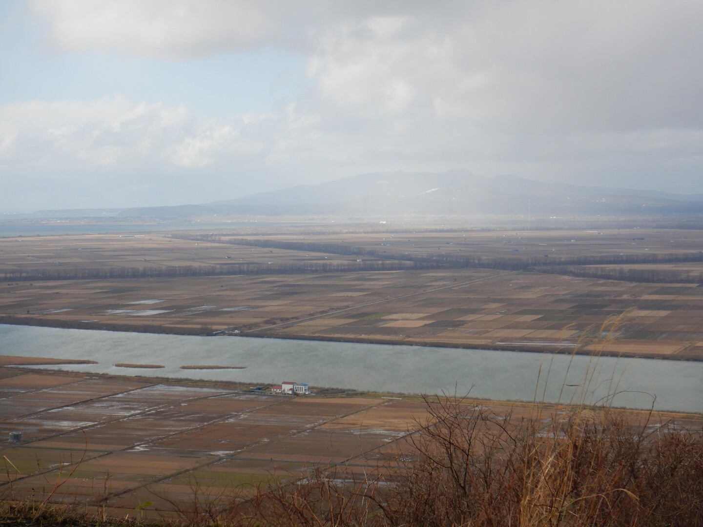 ぶらり里山『高岳山230m』へ / せんちゃんさんの森山の活動データ | YAMAP / ヤマップ