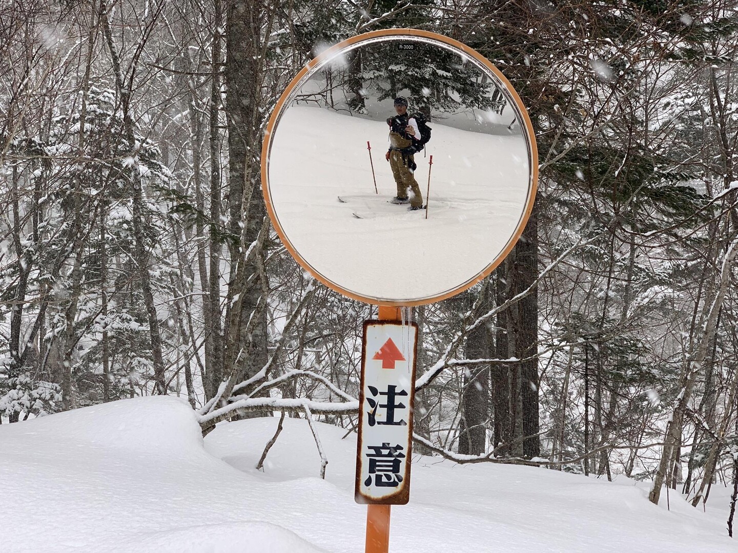 地吹雪強烈☆無意根山BC / bono.さんの無意根山の活動データ | YAMAP / ヤマップ