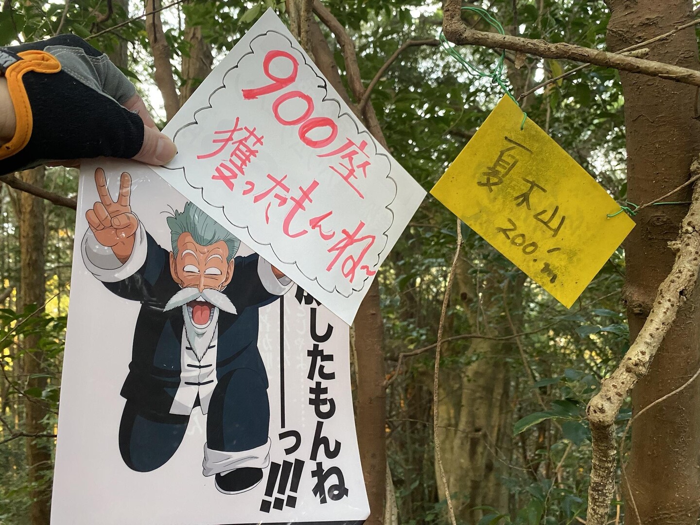 轟け‼︎我が名‼︎（ﾚｼﾞｪﾝﾄﾞ Ver.𝟙 ）〜 夏木山・虚空蔵山 / 梅と平和を噛みしめてさんの唐泉山の活動データ | YAMAP / ヤマップ