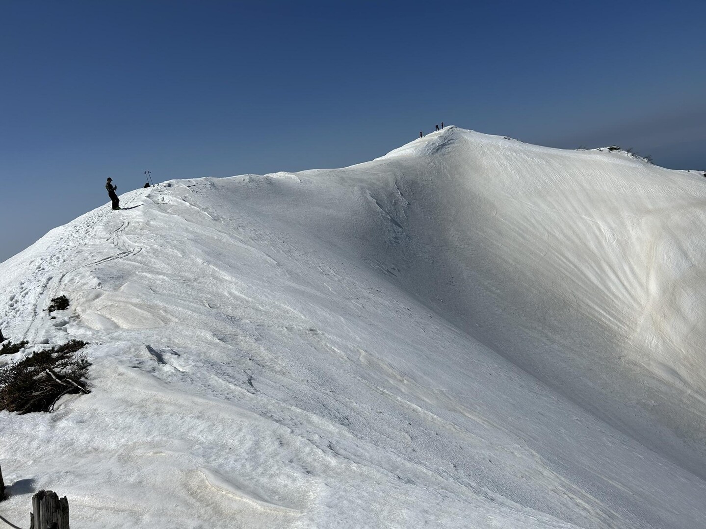 八甲田山・赤倉岳BC🏂 1Dey / megu さんの八甲田山・高田大岳・雛岳の活動データ | YAMAP / ヤマップ