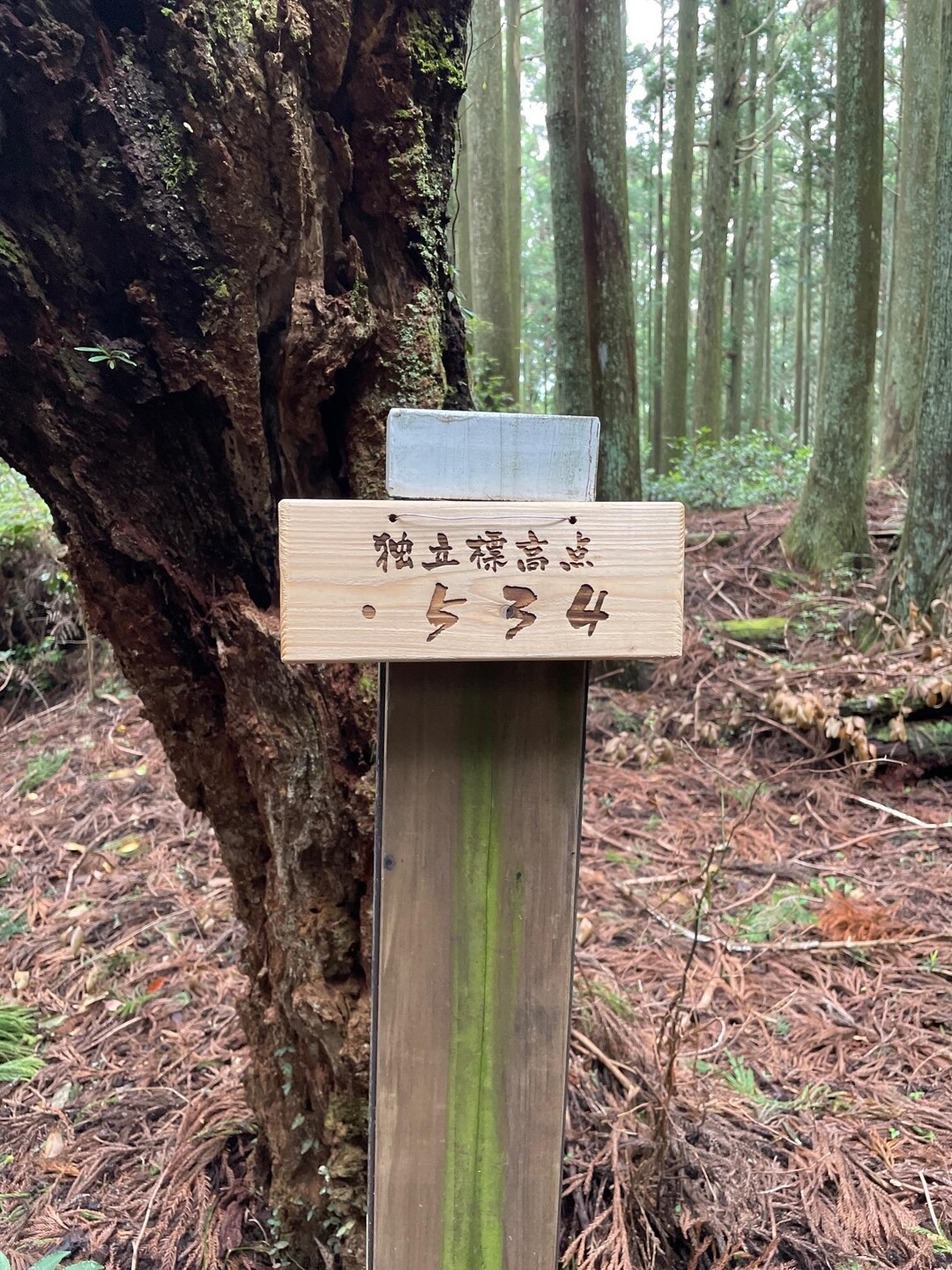 秋葉山 / TKC90さんの秋葉山の活動データ | YAMAP / ヤマップ