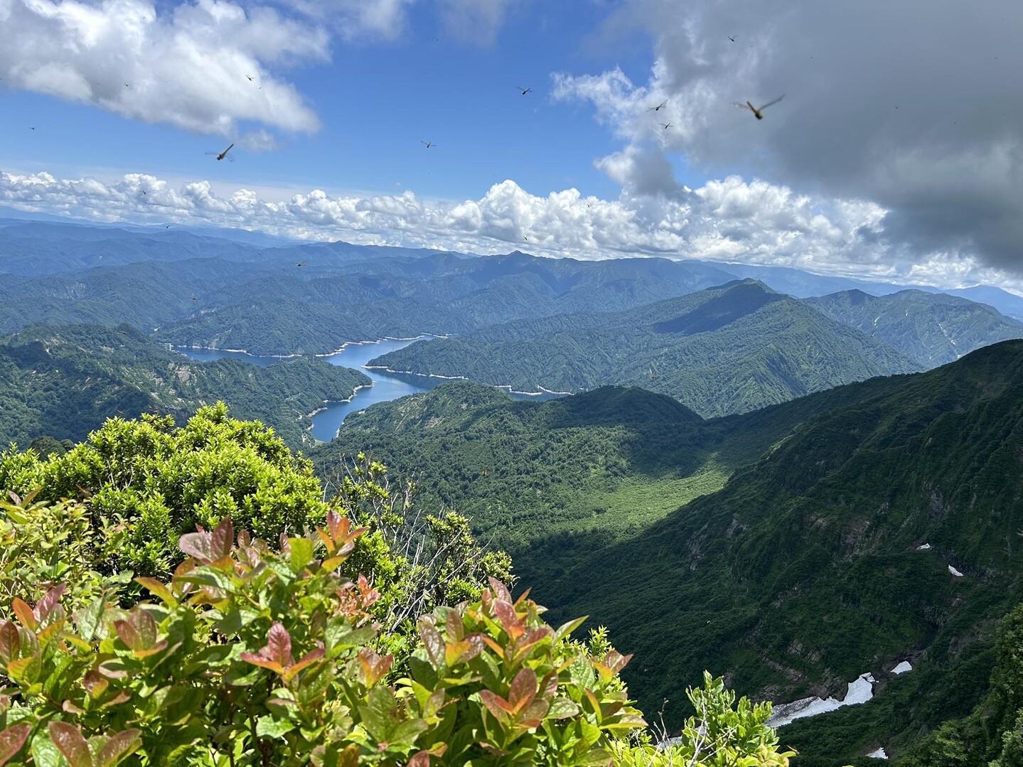 南岳・鬼が面山・北岳・狢沢カッチ・前岳・浅草岳 / kaizaさんの浅草岳・鬼ヶ面山の活動データ | YAMAP / ヤマップ
