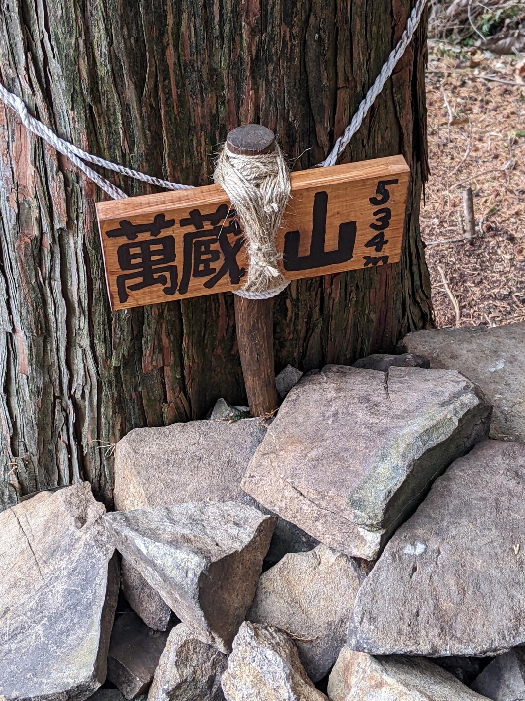 萬蔵山＆富士山 誰にも会わずの萬蔵山と... / YOLOさんのモーメント | YAMAP / ヤマップ