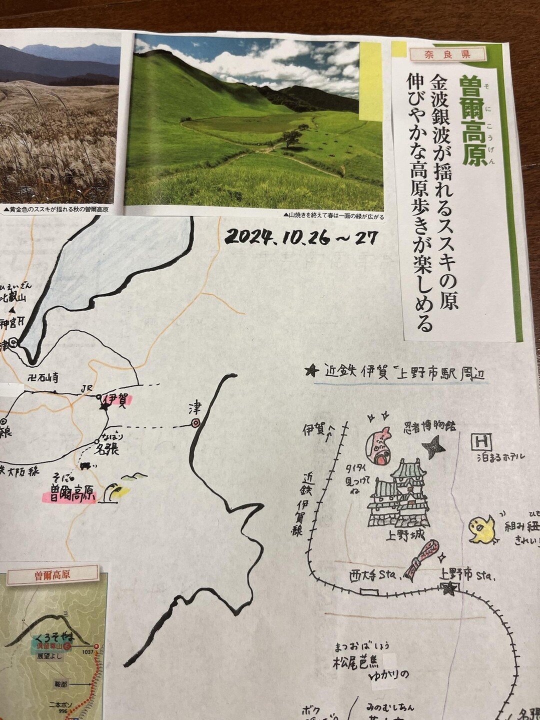 曽爾高原🎑二本ボソ・亀山 / まちゃまちゃ♬mmmnさんの倶留尊山・曽爾高原・古光山の活動データ | YAMAP / ヤマップ