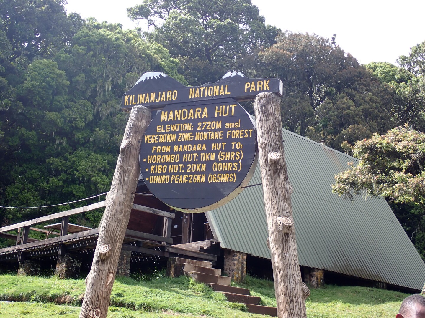 キリマンジャロ-2025-01-26、モシ・マラングゲート・マンダラハット / S.nekoさんのキリマンジャロの活動データ | YAMAP / ヤマップ