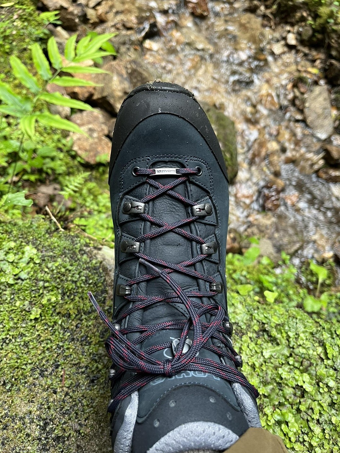 LOWA🥾これからお世話になります信貴山でデビュー / aumさんの生駒山・神津嶽・大原山の活動データ | YAMAP / ヤマップ