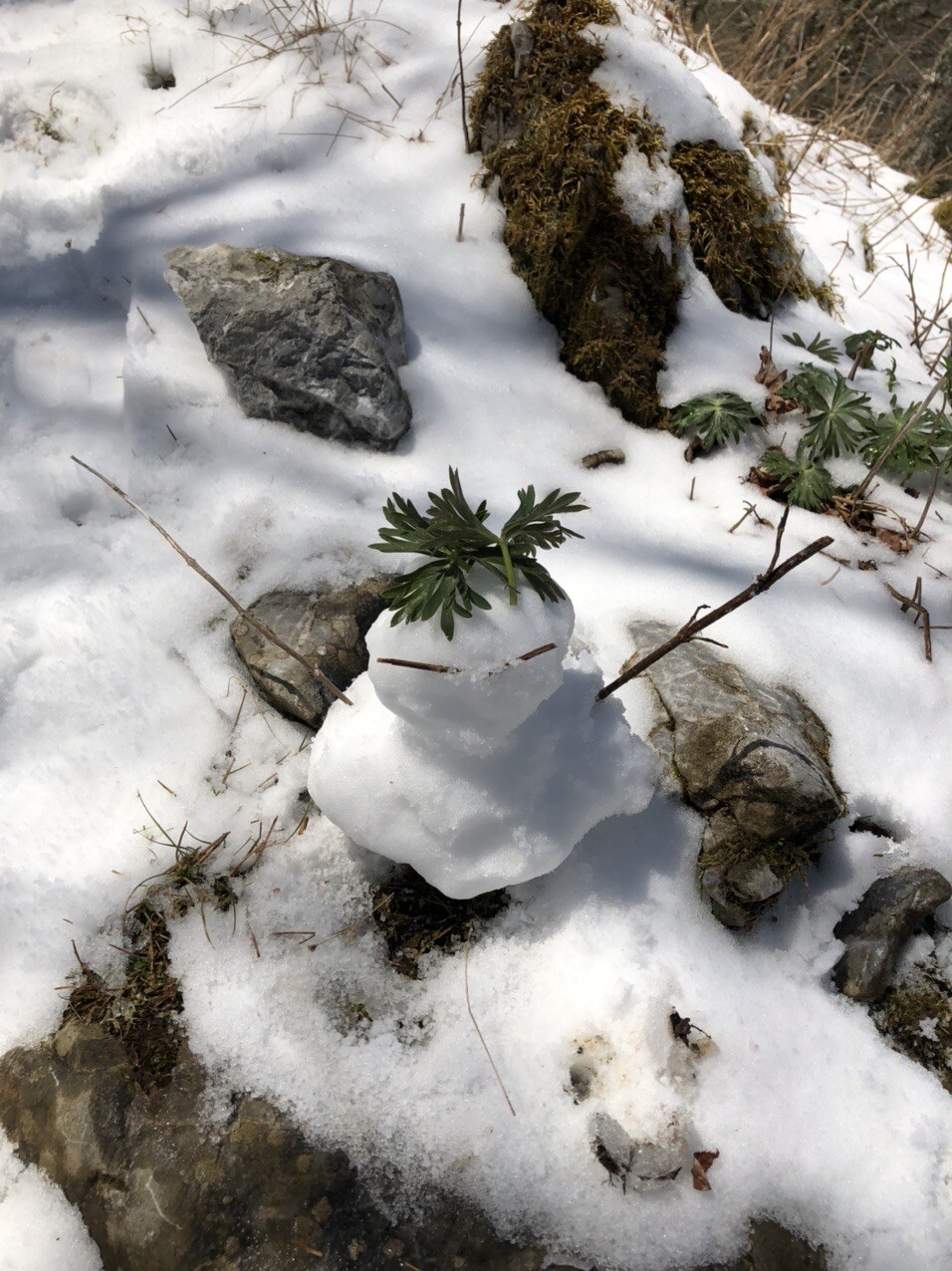 剣山 / 1091maruさんの剣山の活動データ | YAMAP / ヤマップ