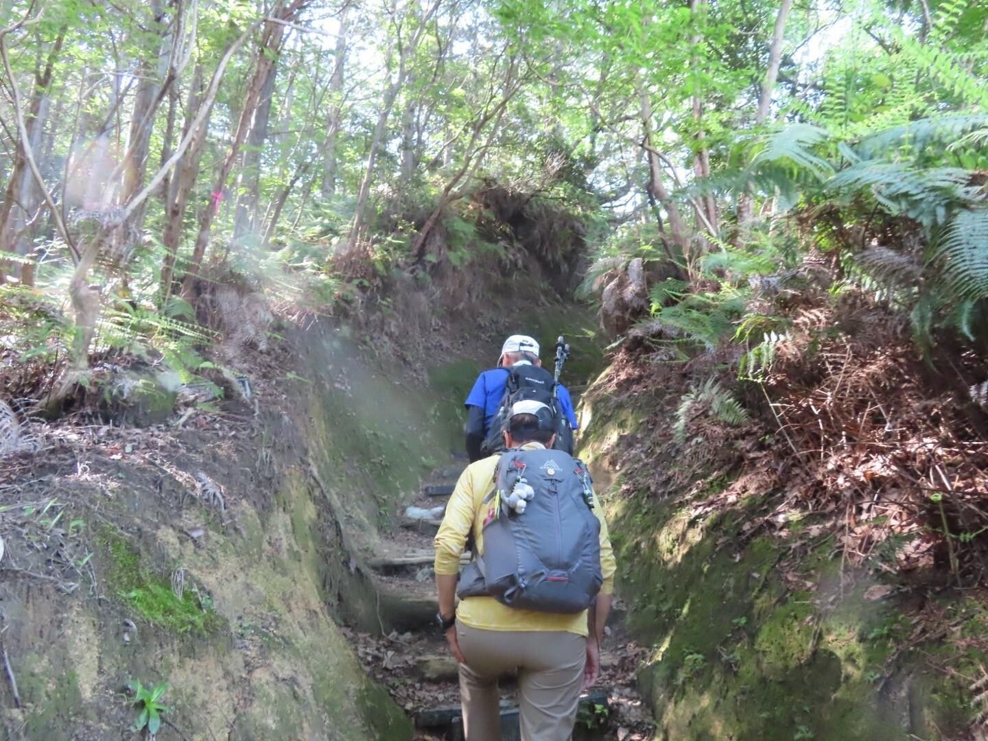 2日目は糸島の山 / sayoさんの高祖山・飯盛山・叶岳の活動データ | YAMAP / ヤマップ