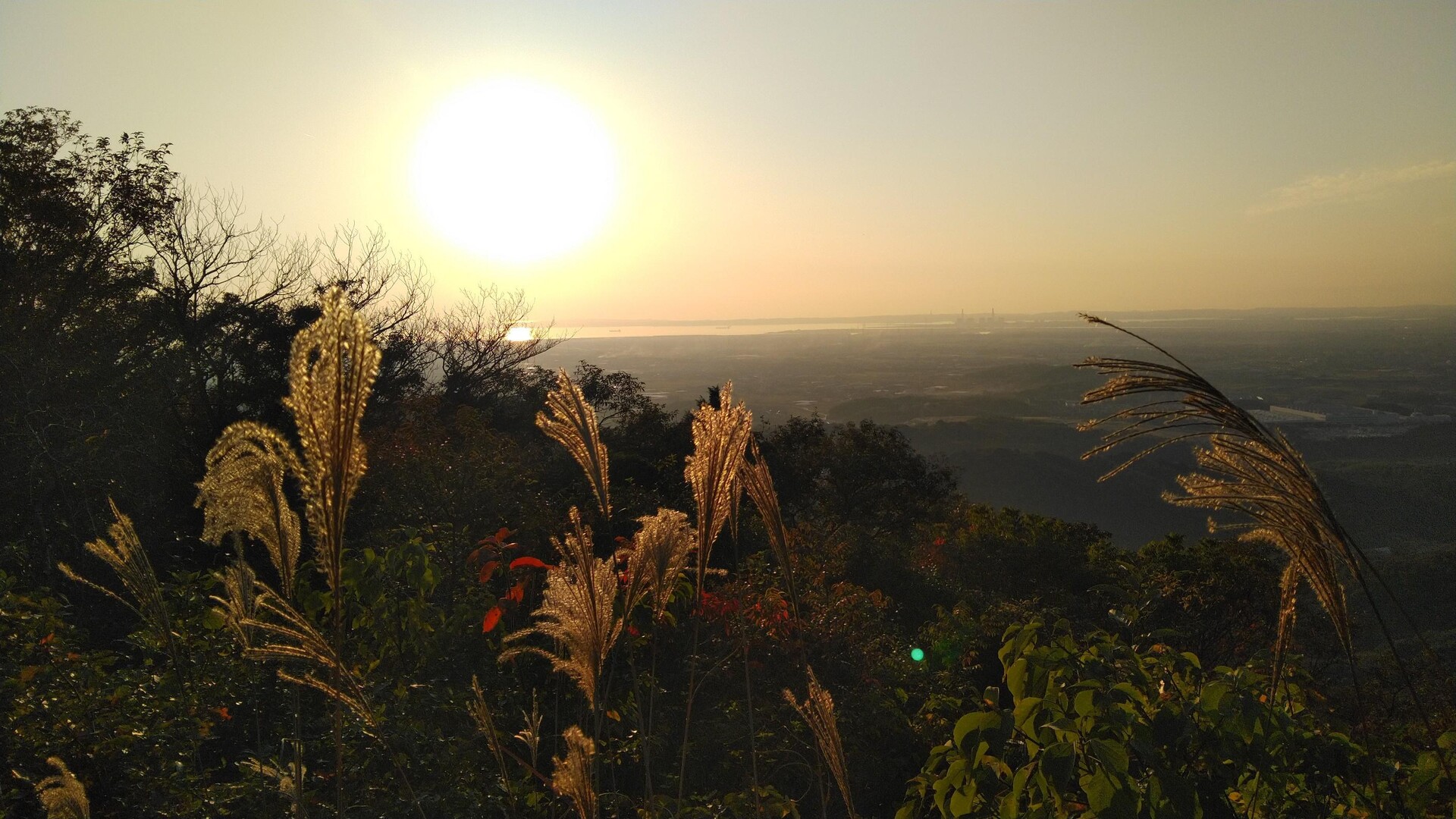 海と夕日の茶臼山※動画あり / ひろさんの茶臼山・万灯山の活動データ | YAMAP / ヤマップ