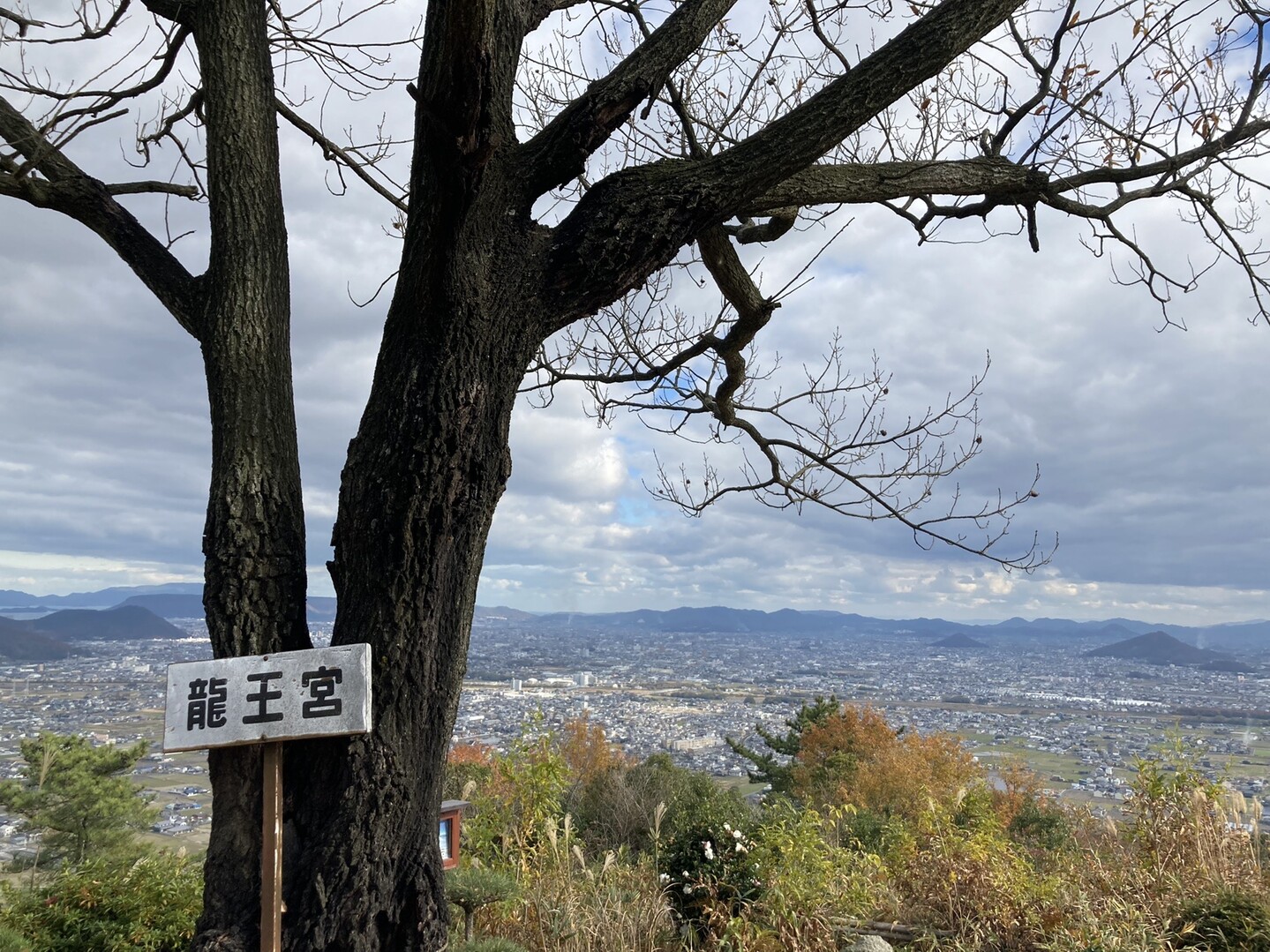 龍王宮・堂山・堂山北嶺 / tmkさんの六ッ目山・堂山・伽藍山の活動データ | YAMAP / ヤマップ