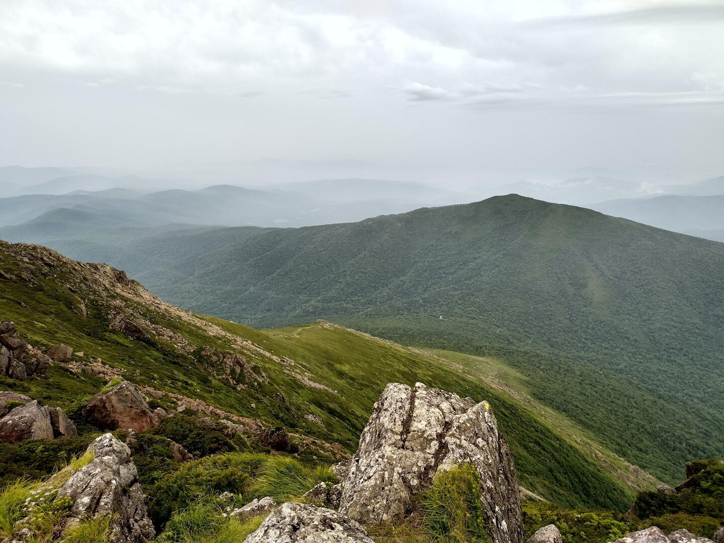 R5.7.8早池峰山 / jさんの早池峰山・薬師岳・鶏頭山の活動データ | YAMAP / ヤマップ