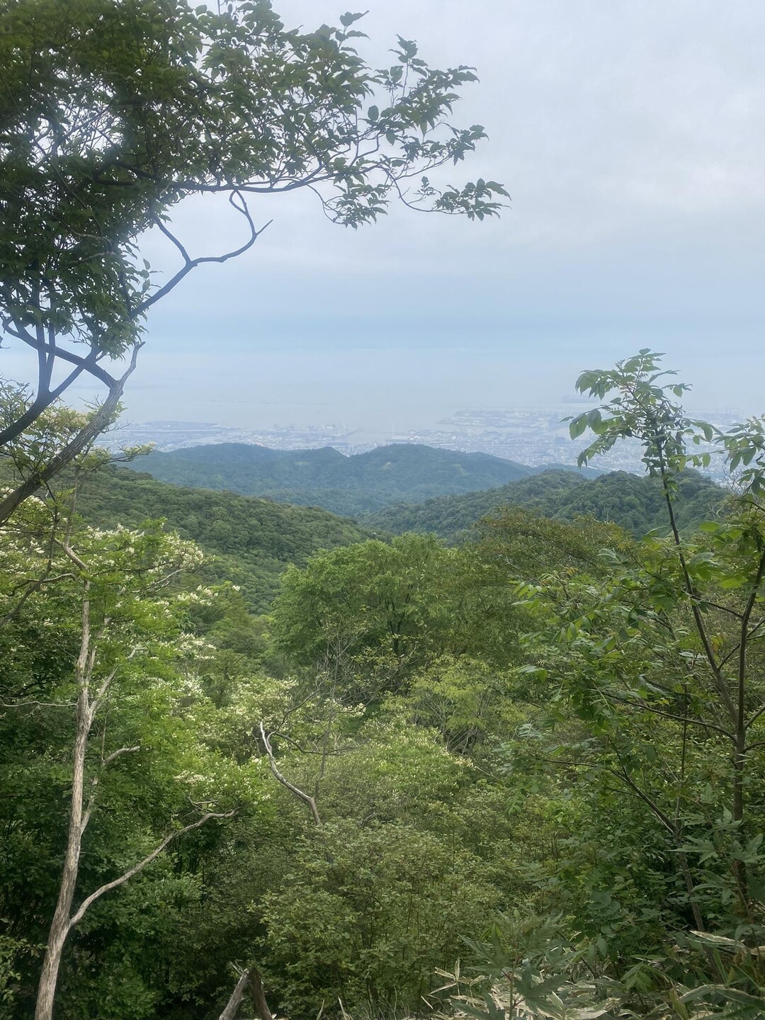 摩耶山・摩耶別山・六甲山・東お多福山 / 105sunさんの六甲山・長峰山・摩耶山の活動データ | YAMAP / ヤマップ