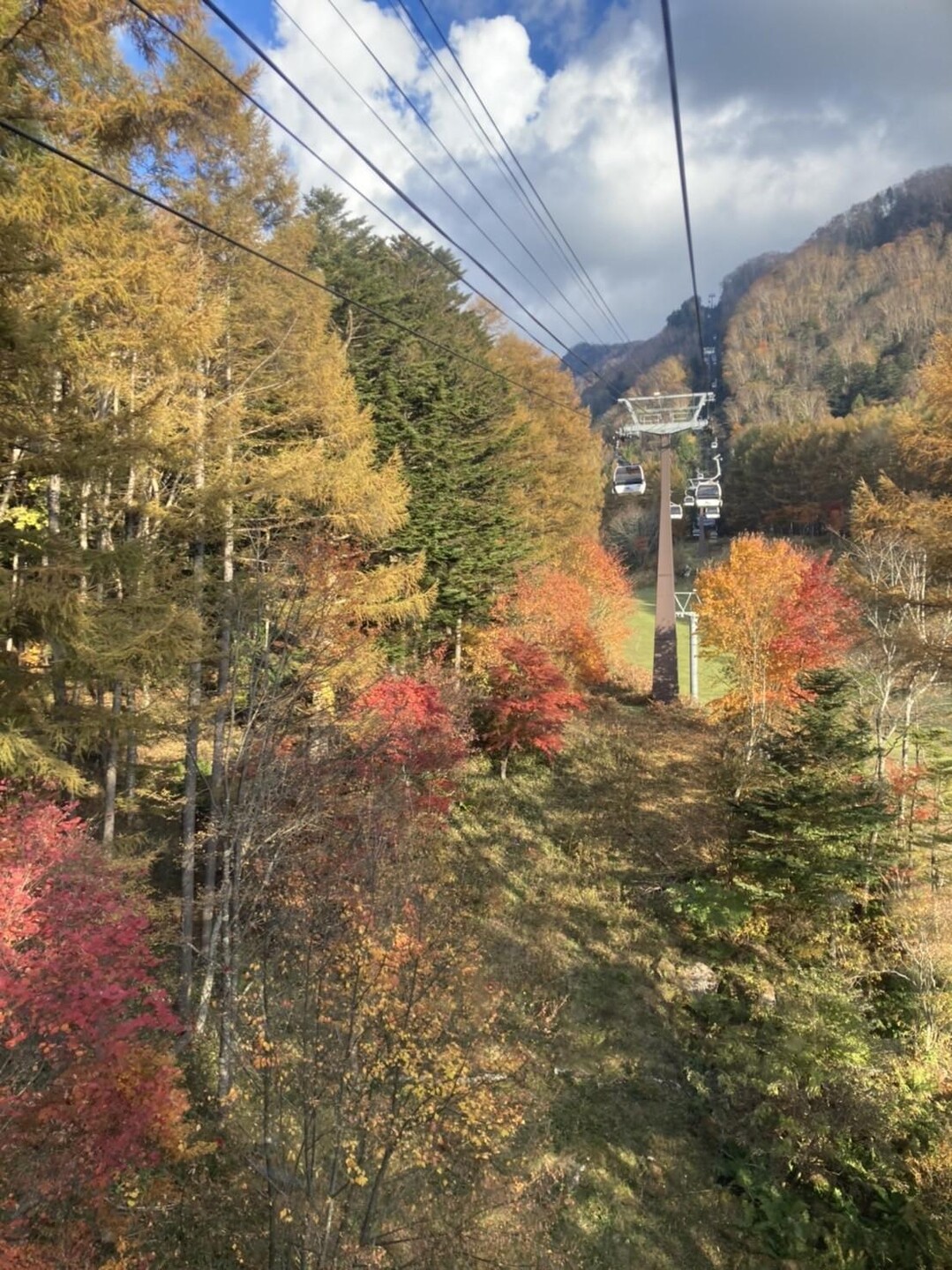 日光白根山ロープウェイ 営業期間が11月... / MEGUMI。さんのモーメント | YAMAP / ヤマップ