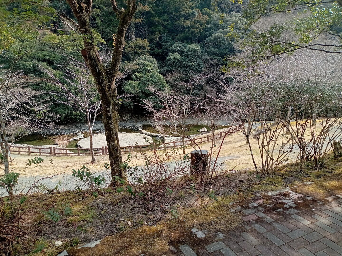 夏になると川遊びが有名な千石峡！ キャ... / Osa-n43さんのモーメント | YAMAP / ヤマップ