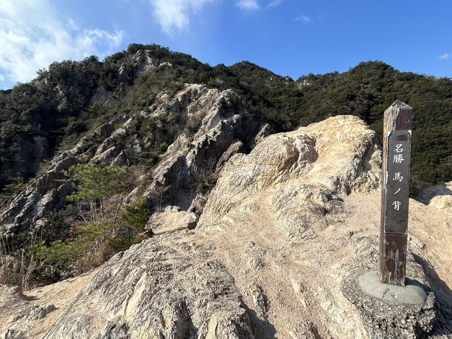 塩屋駅〜須磨アルプス•高取山〜鷹取駅 / syoさんの六甲山・長峰山・摩耶山の活動データ | YAMAP / ヤマップ