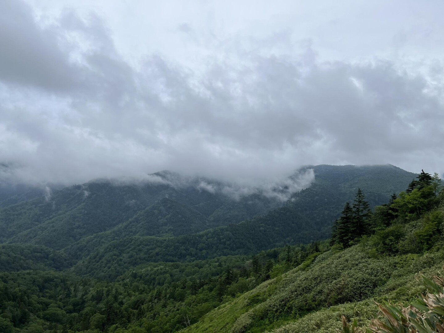 志賀高原100 (の40kmの部) / JUNさんの岩菅山・寺小屋峰の活動データ | YAMAP / ヤマップ