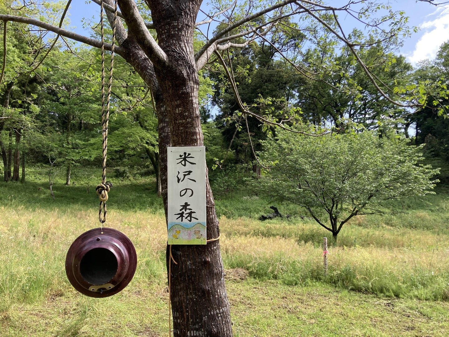 《日程変更18日から19日 日曜日に》 ... / kazeさんのモーメント | YAMAP / ヤマップ