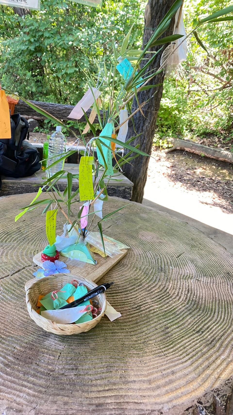 鳩吹山 北尾根周回ルート / PUKUDX ぷくでらっくすさんの鳩吹山の活動データ | YAMAP / ヤマップ