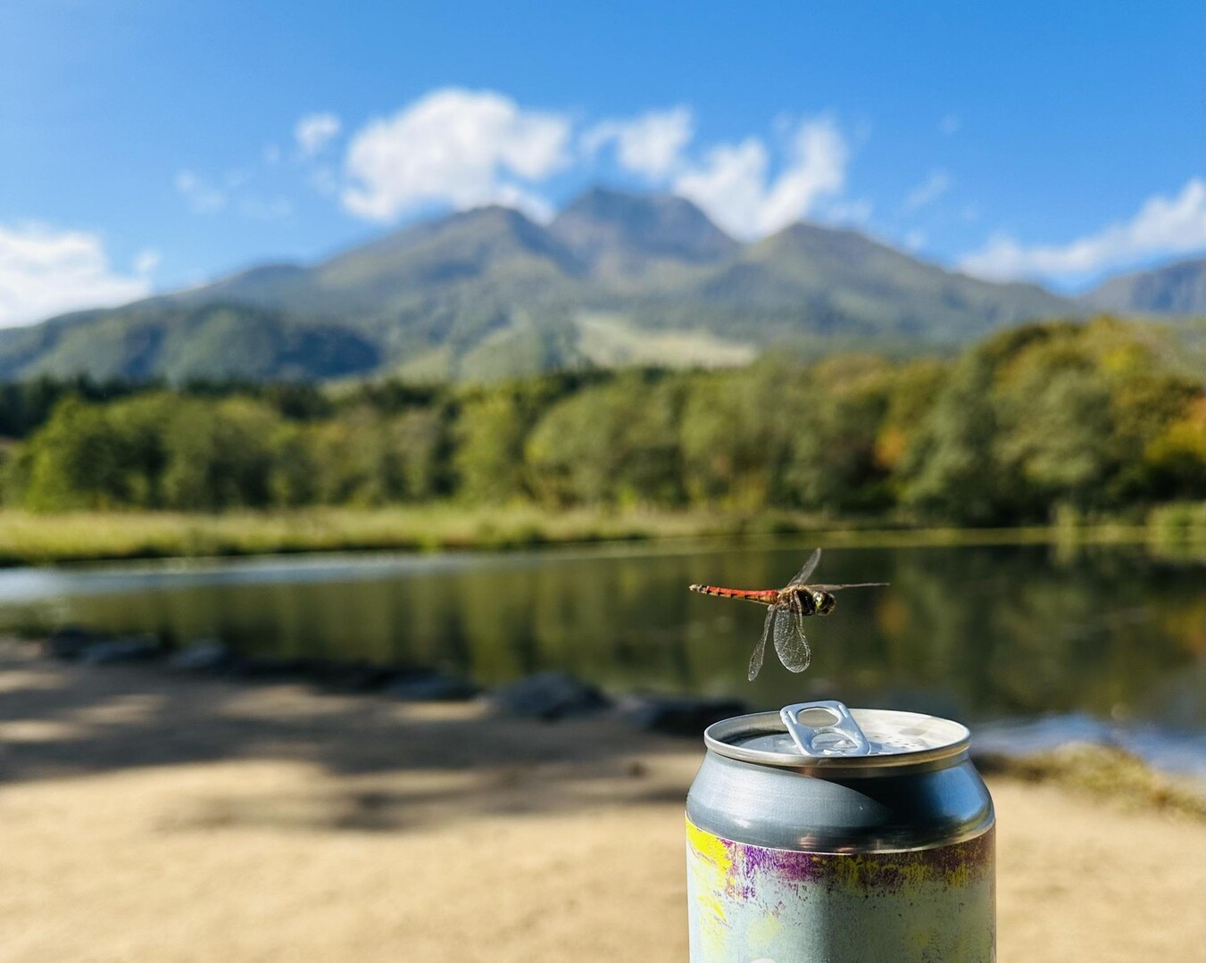 火打山・茶臼山・妙高山（北峰）・妙高山（南峰） / おやさいさんの妙高山・火打山の活動データ | YAMAP / ヤマップ