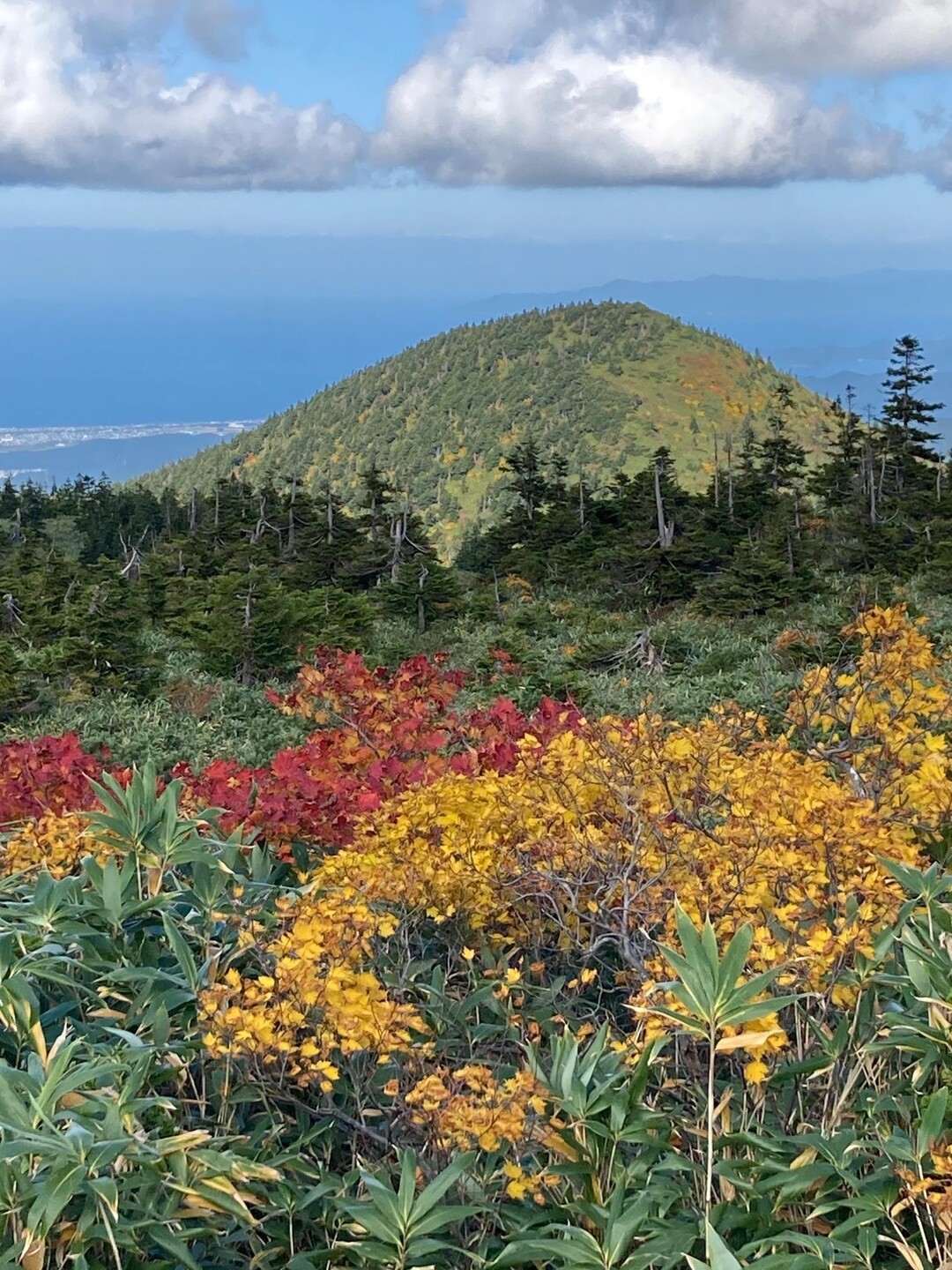 田茂萢岳 / mayuさんの八甲田山・高田大岳・雛岳の活動データ | YAMAP / ヤマップ