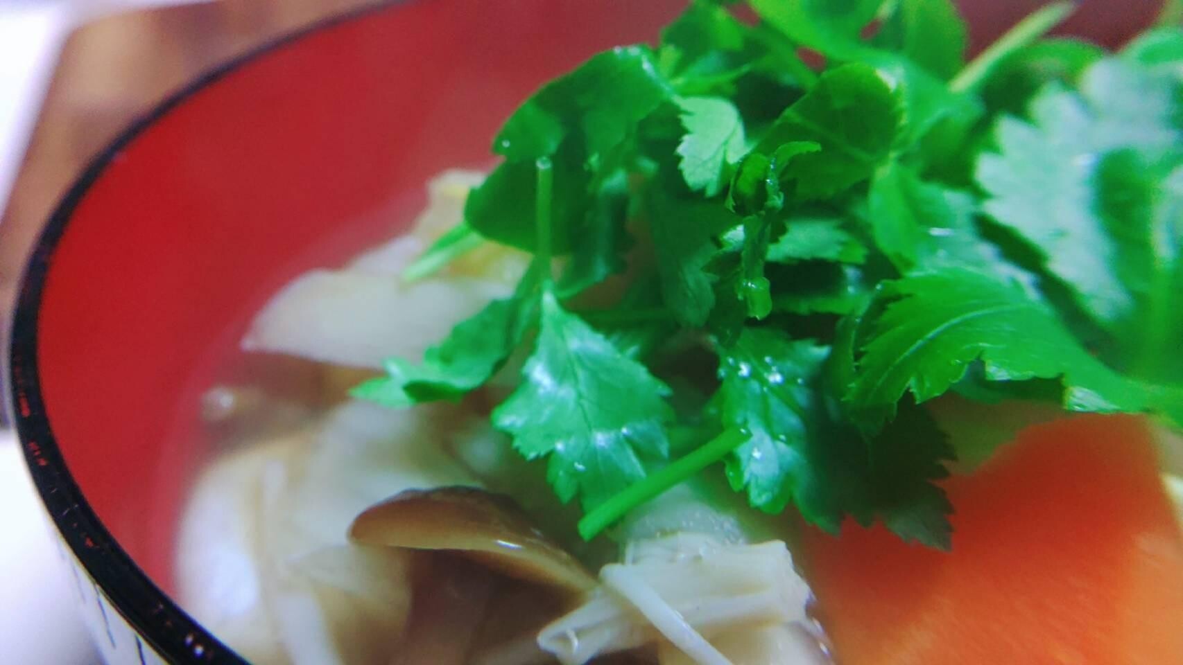 お雑煮食べました😋 (1枚目) 具... / kazさんのモーメント | YAMAP / ヤマップ