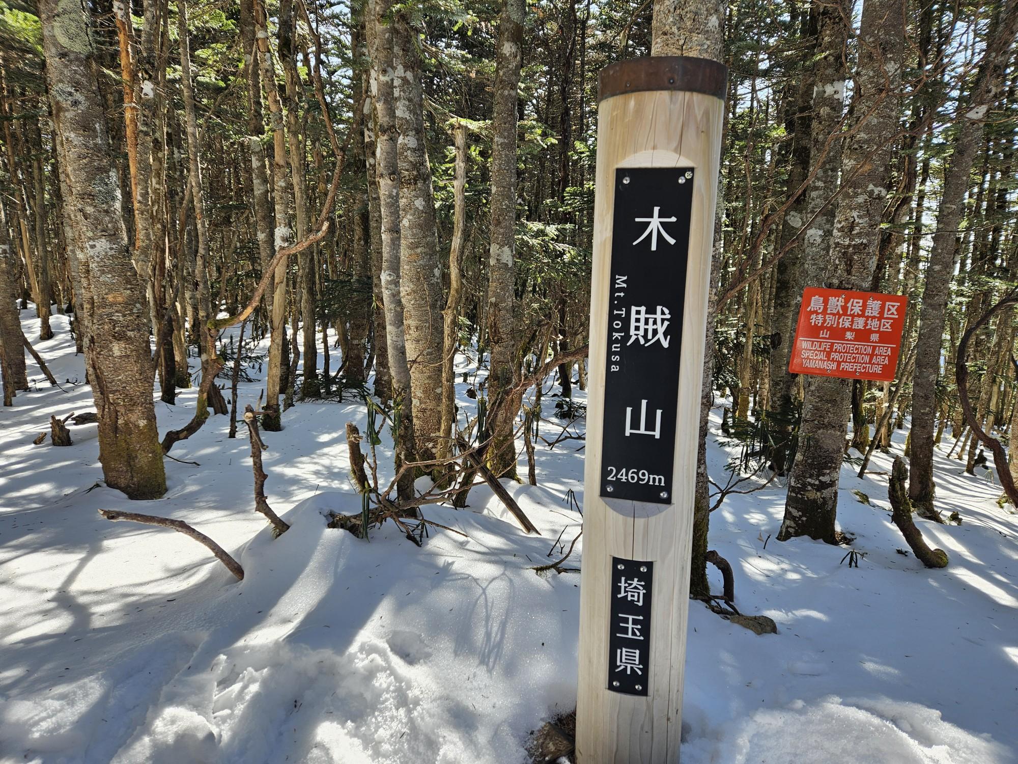 西沢渓谷から木賊山 / nekomenさんの甲武信ヶ岳の活動データ | YAMAP / ヤマップ