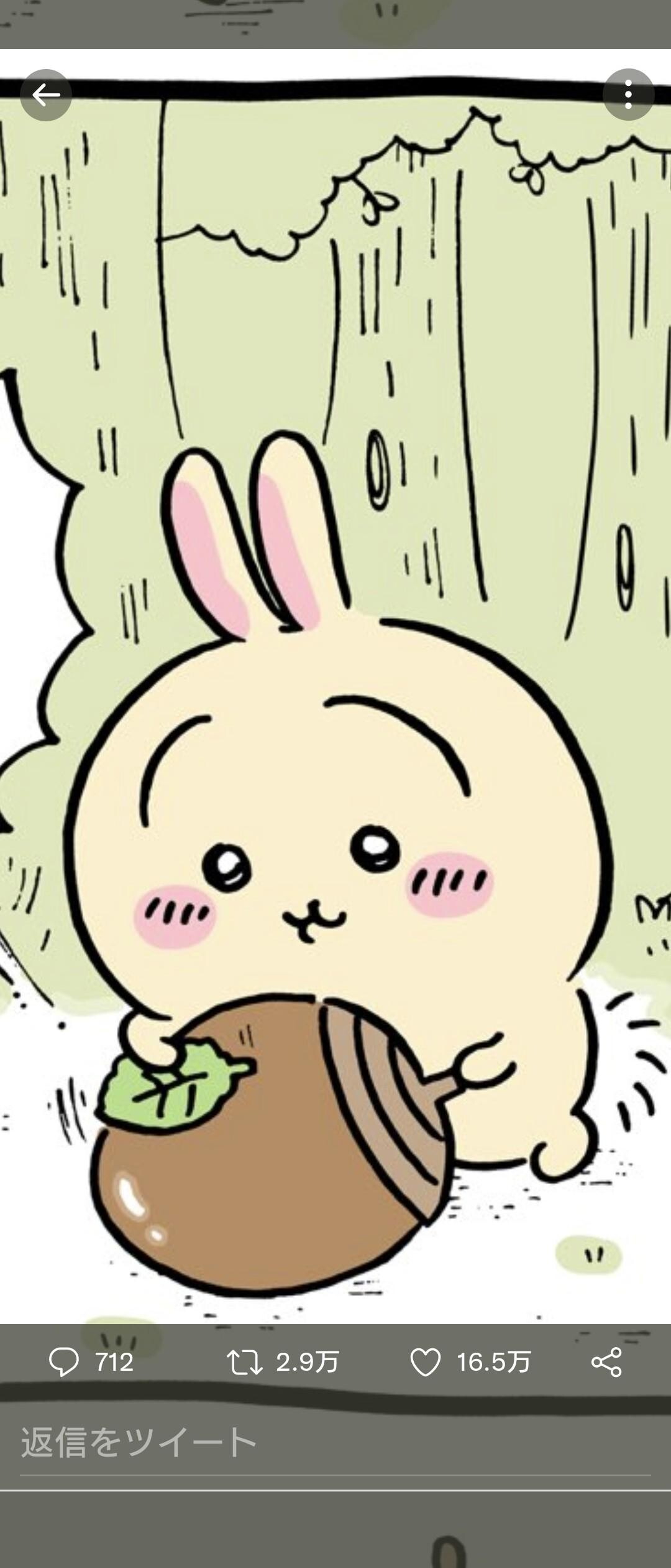 まちゃこのページ | YAMAP / ヤマップ