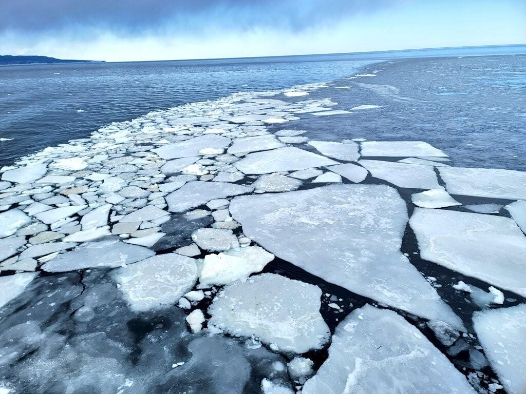 名古屋、新潟、神戸に続いて4週目は札幌公... / awaさんのモーメント | YAMAP / ヤマップ
