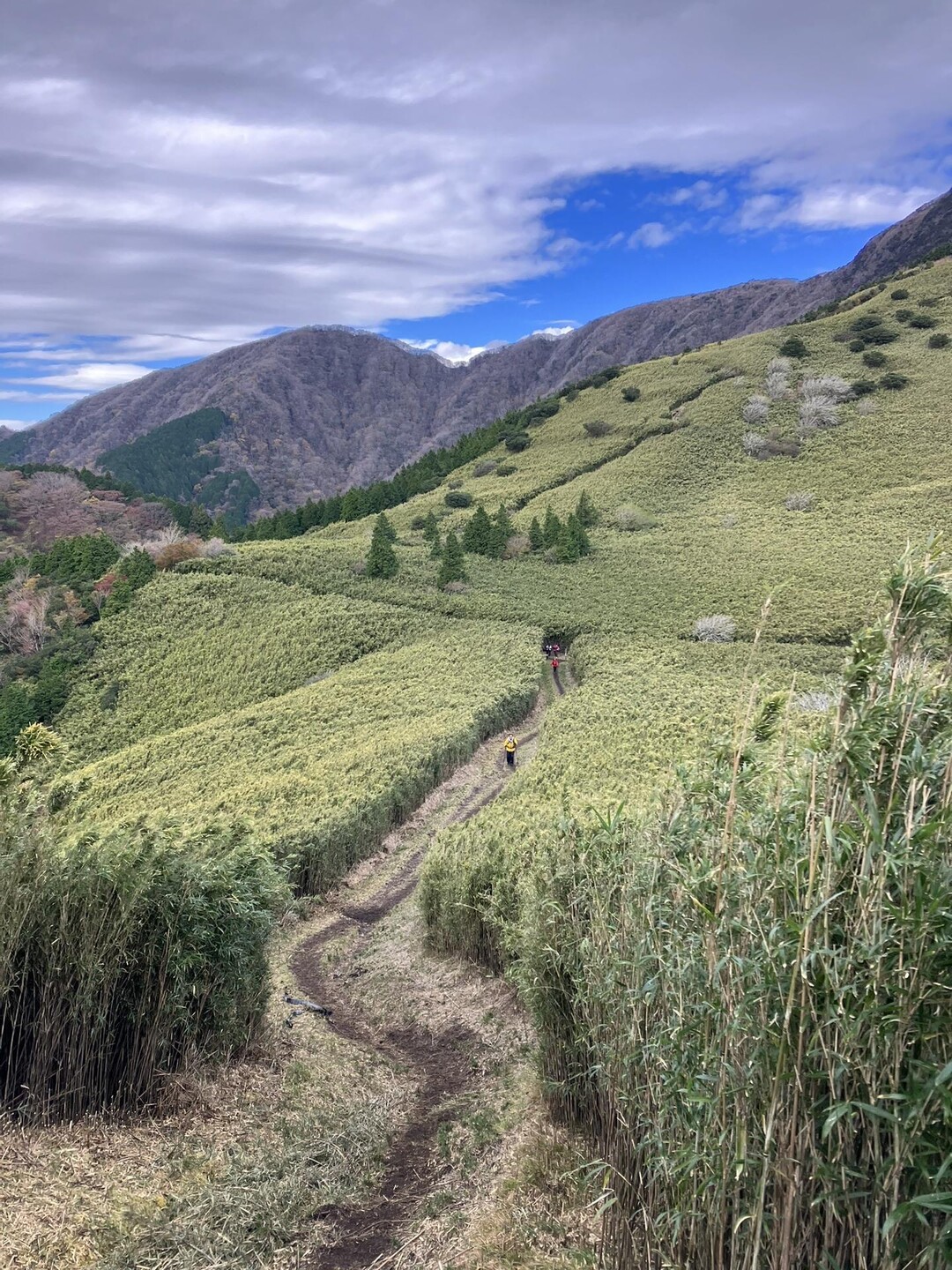 明星ヶ岳・明神ヶ岳・火打石山 / tykmktさんの金時山・明神ヶ岳の活動データ | YAMAP / ヤマップ