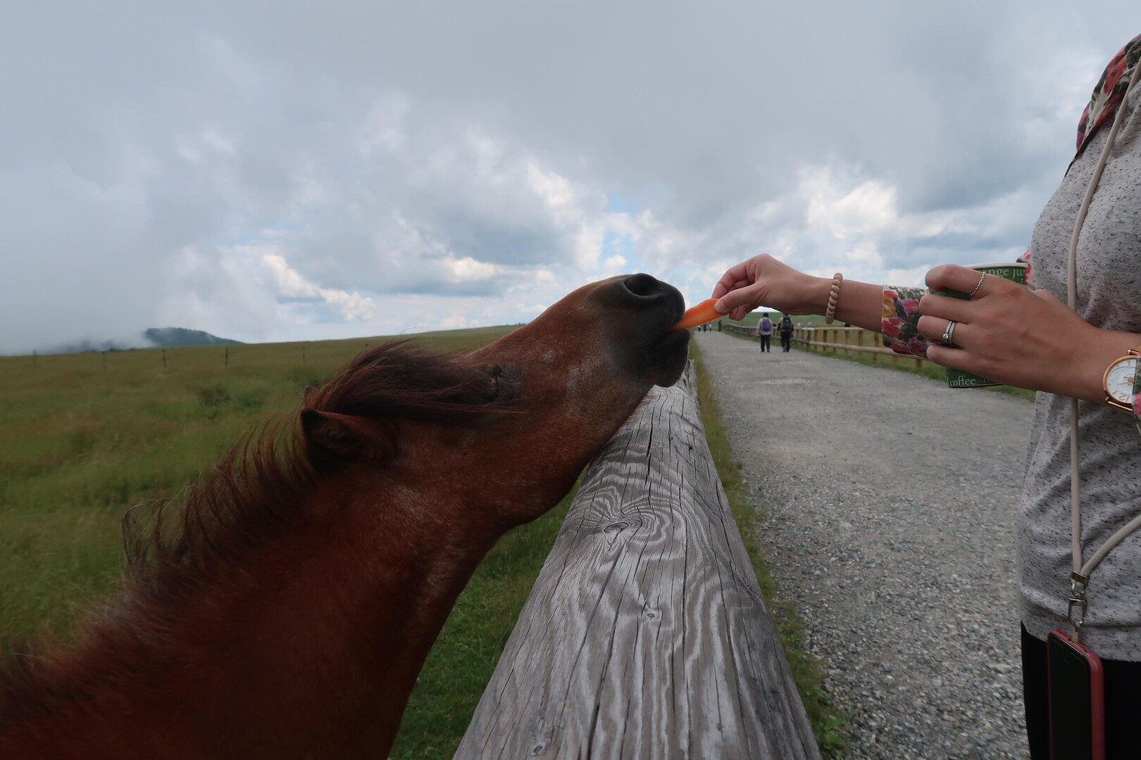 Utsukushigahara Highland / Yorisさんのウォーキングの活動データ | YAMAP / ヤマップ