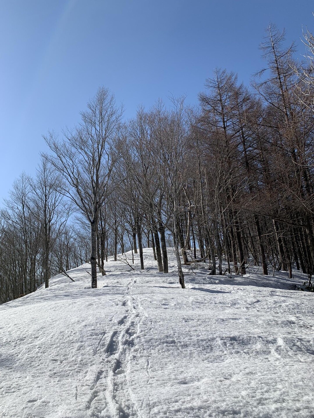 天丸木山 / takakoさんの仙ノ倉山・平標山・大源太山の活動データ | YAMAP / ヤマップ