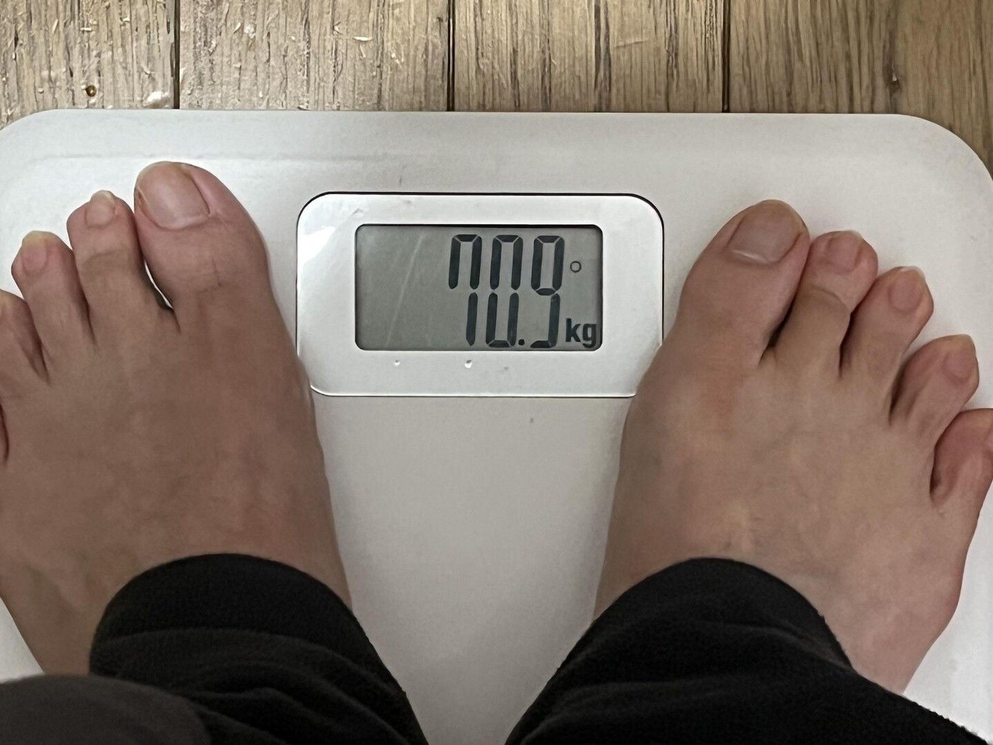 『ひろZAP』再始動⁉️ VOL.3 Y... / ひろぴょんさんのモーメント | YAMAP / ヤマップ