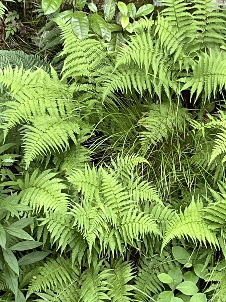 micanのページ | YAMAP / ヤマップ