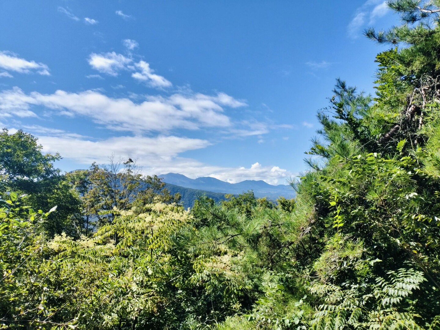 ぐんま百名山 王城山・高間山 / kooさんの王城山・高間山の活動データ | YAMAP / ヤマップ